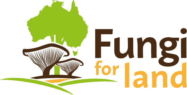 Story – Fungi4Land